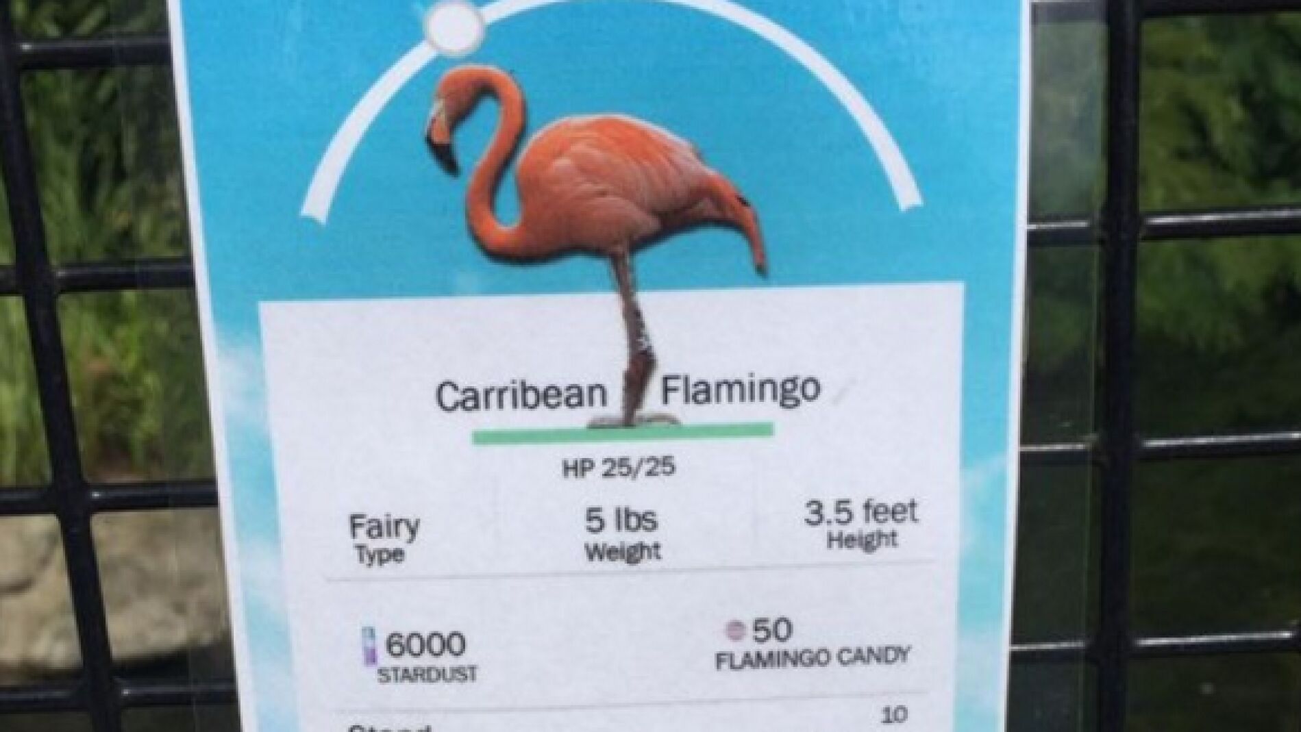Un zoo se inspira en Pokémon GO para sus carteles de animales