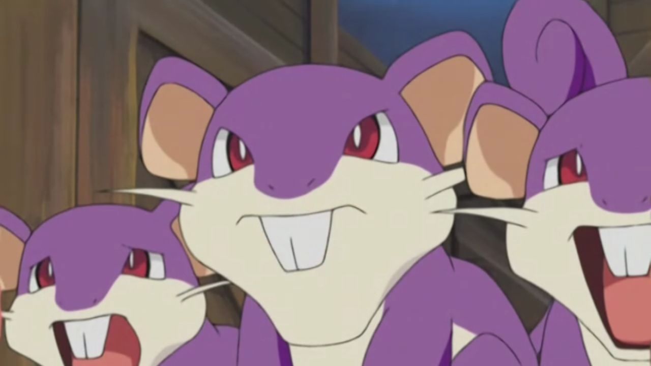Así es como un Rattata de nivel 1 vence al mejor entrenador de Pokémon