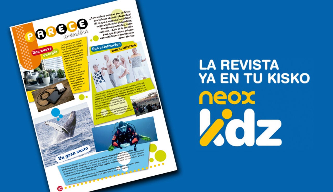 NEOX - Series, programas y realities